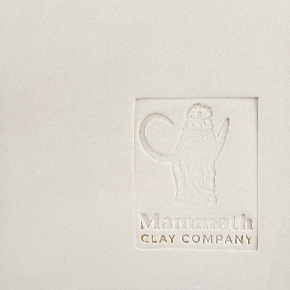 Buy L&R Translucent Porcelain ^6- Mammoth Clay, Oklahoma City — Mammothclay