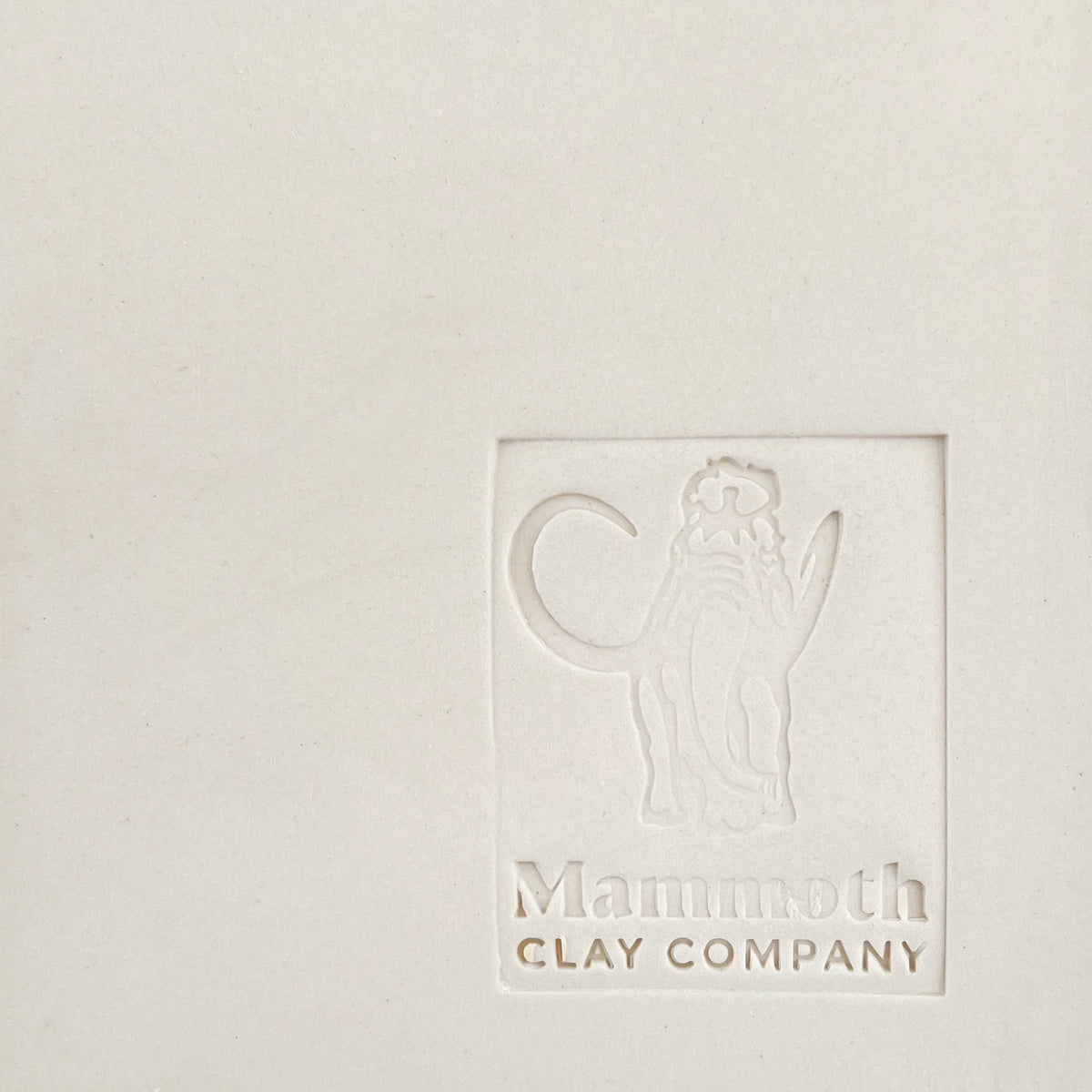 Buy L&R Translucent Porcelain ^6- Mammoth Clay, Oklahoma City — Mammothclay