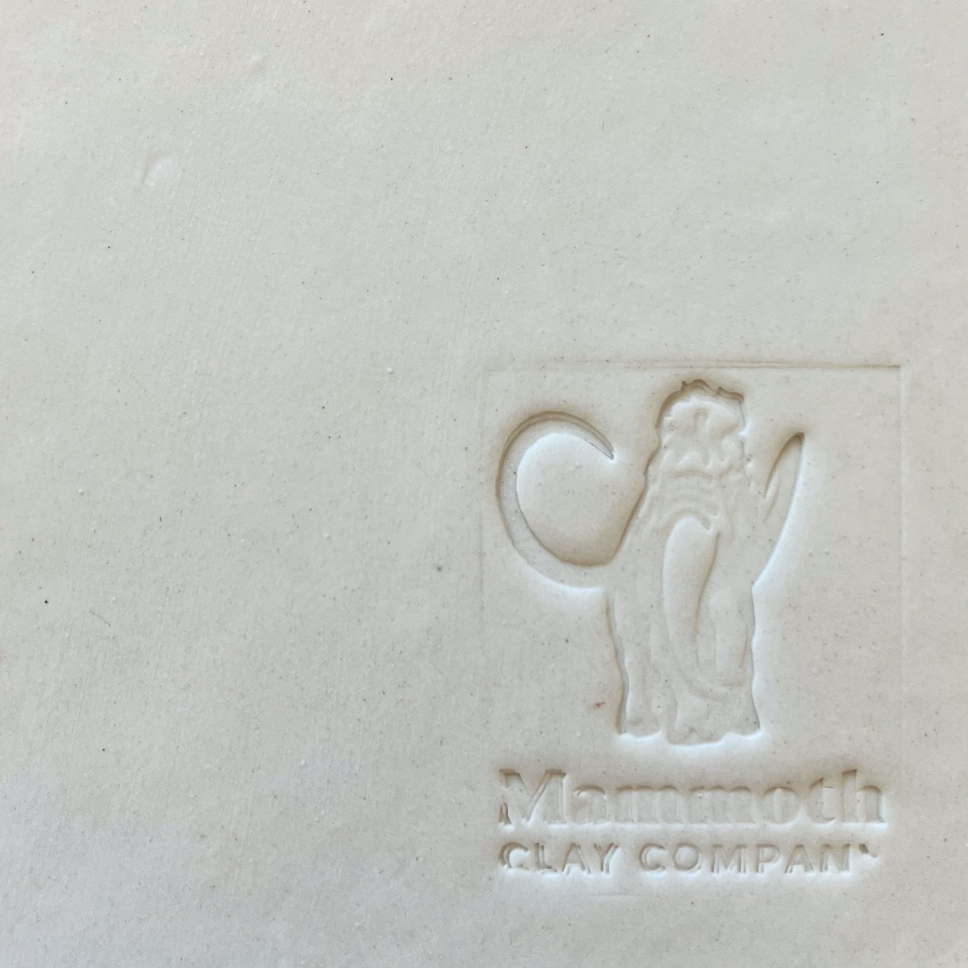 Buy L&R Translucent Porcelain ^10 - Mammoth Clay, Oklahoma City ...