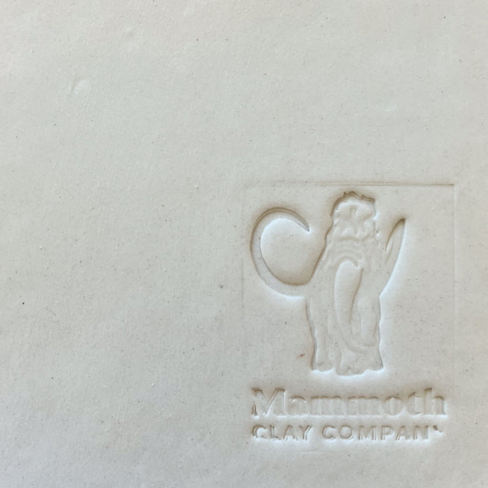 Buy L&R Translucent Porcelain ^10 - Mammoth Clay, Oklahoma City ...