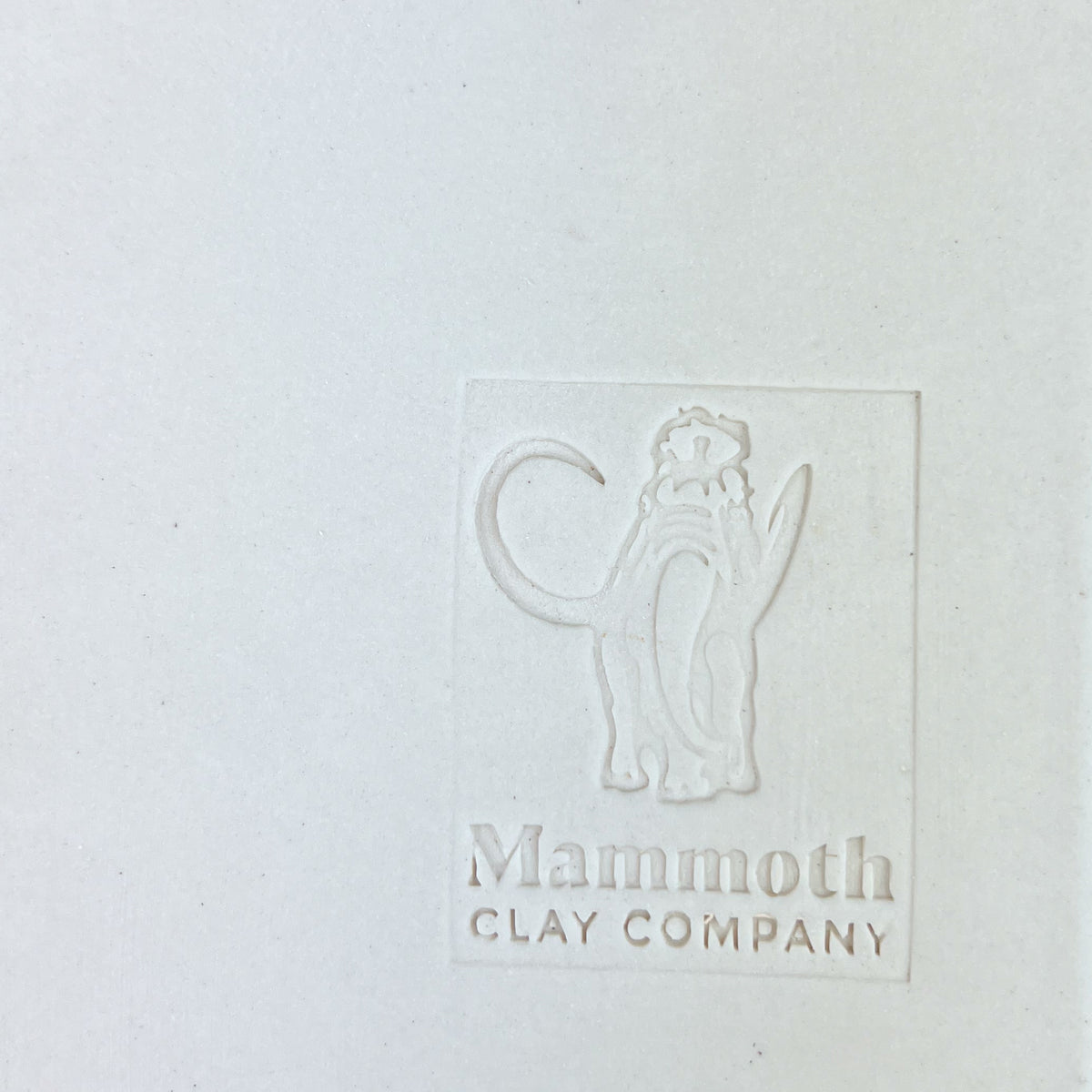 Buy L&R Translucent Porcelain ^6- Mammoth Clay, Oklahoma City — Mammothclay